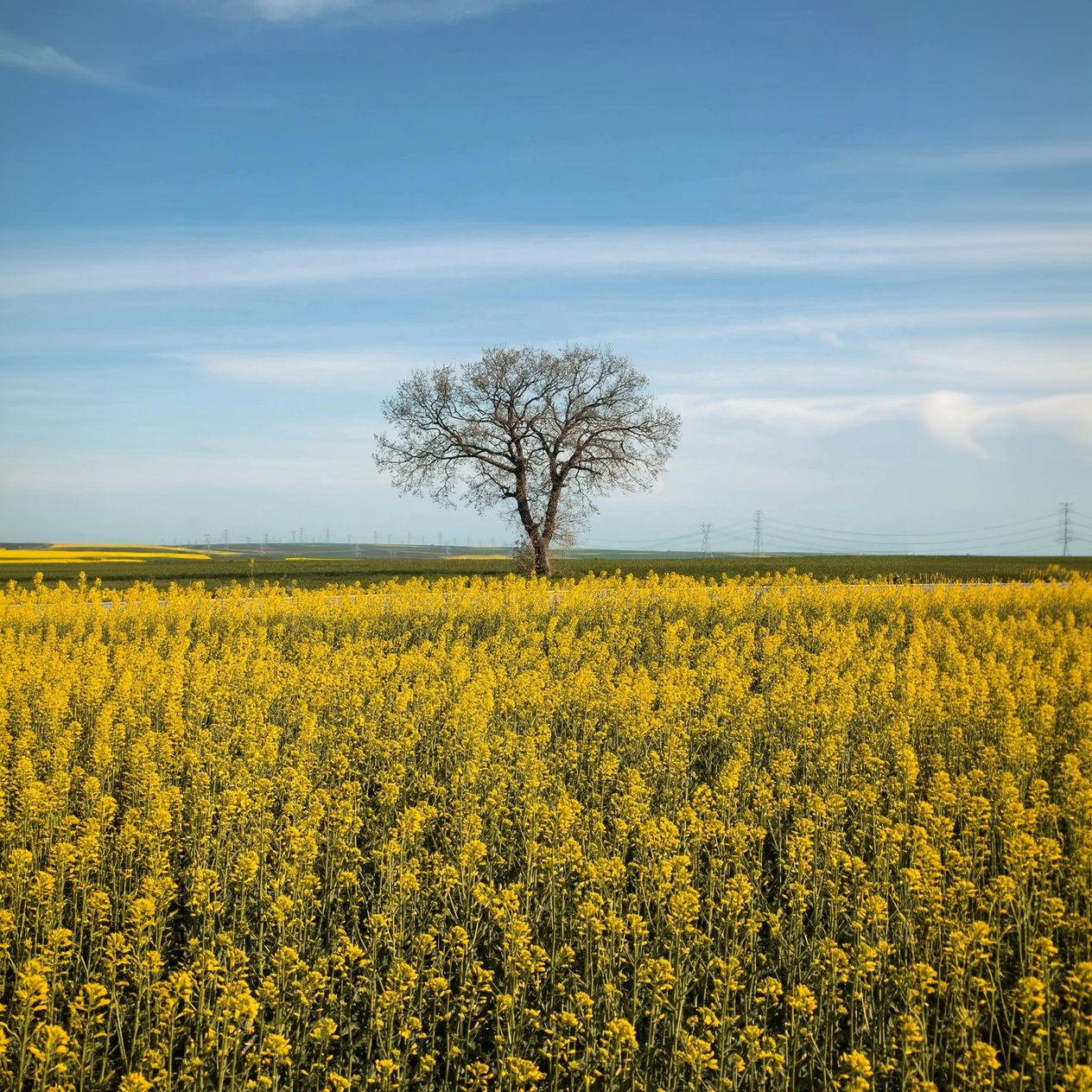 AI Image Resizer - Intelligent AI Background Expansion & Aspect Ratio ...