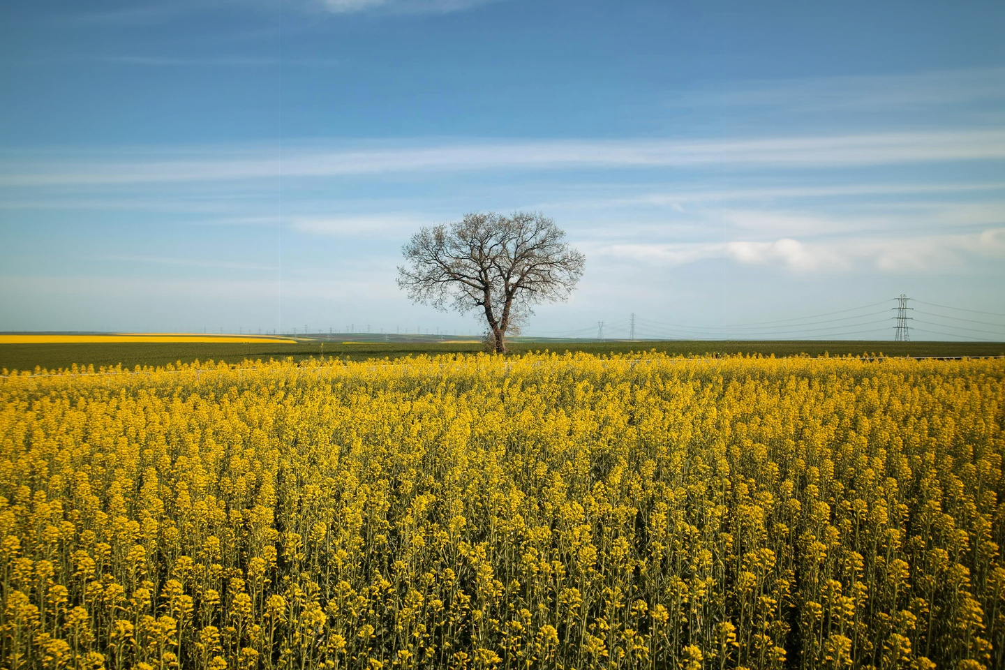 AI Image Resizer - Intelligent AI Background Expansion & Aspect Ratio ...